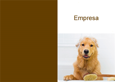 Cartão Postal Pet 13